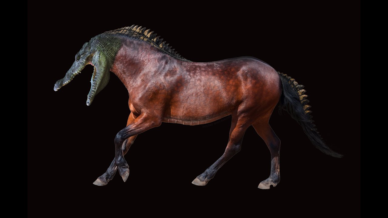 Galloping Gators & The Big Hurricane Lure (Biggest Episode Yet!) - YouTube