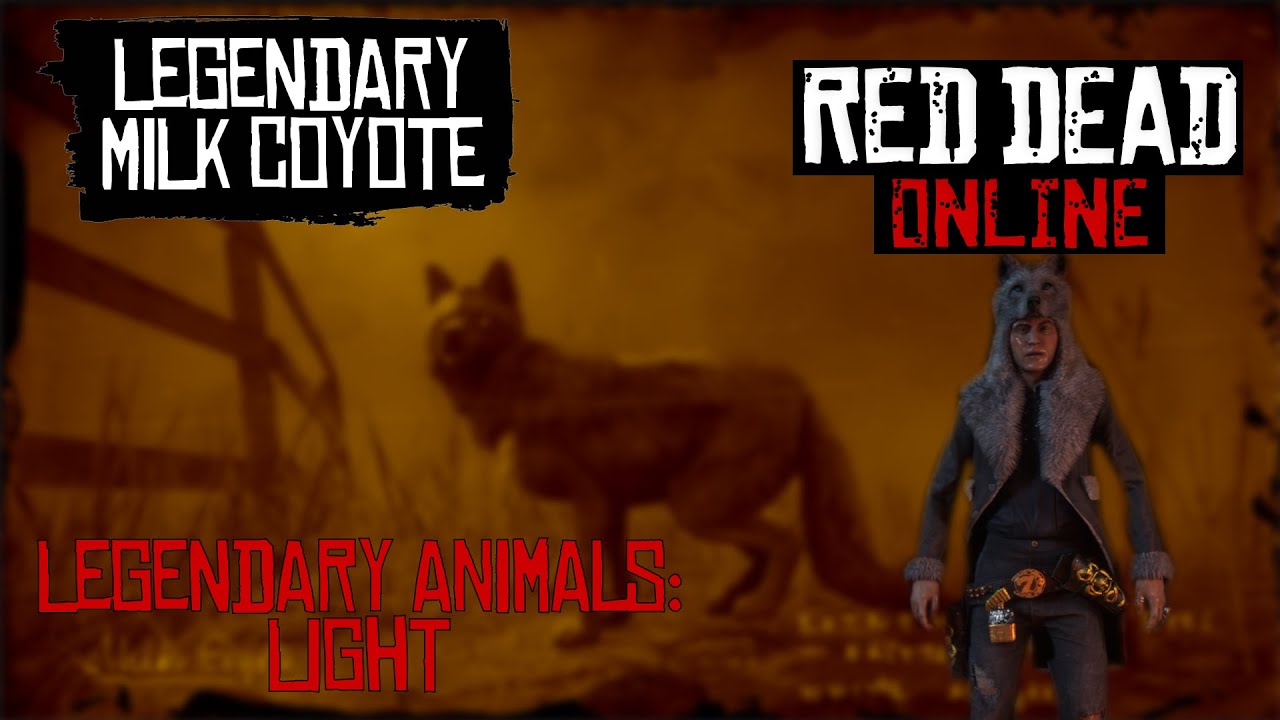 RDR2: Legendary Milk Coyote Guide Naturalist - YouTube