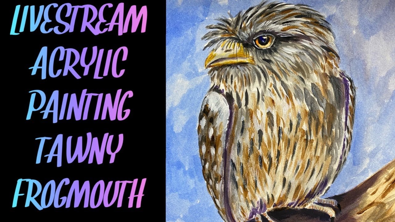 lets draw and paint australian birds (tawny frogmouth) - YouTube