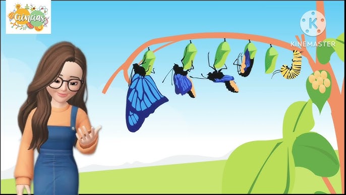 ♥***♥** Diário da Profa Glauce **♥***♥**: Atividades: Ciclo de vida da ... ♥***♥** Diário da Profa Glauce **♥***♥**: Atividades: Ciclo de vida da ...
