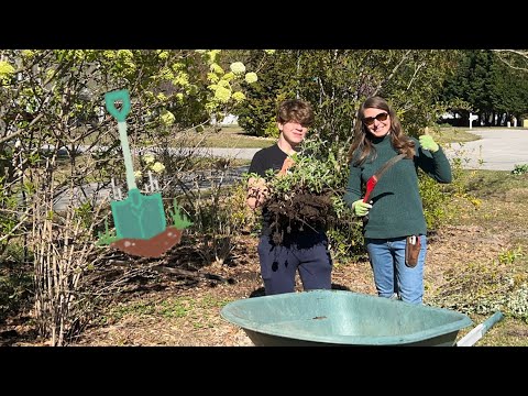 How To Build A Native Plant Garden