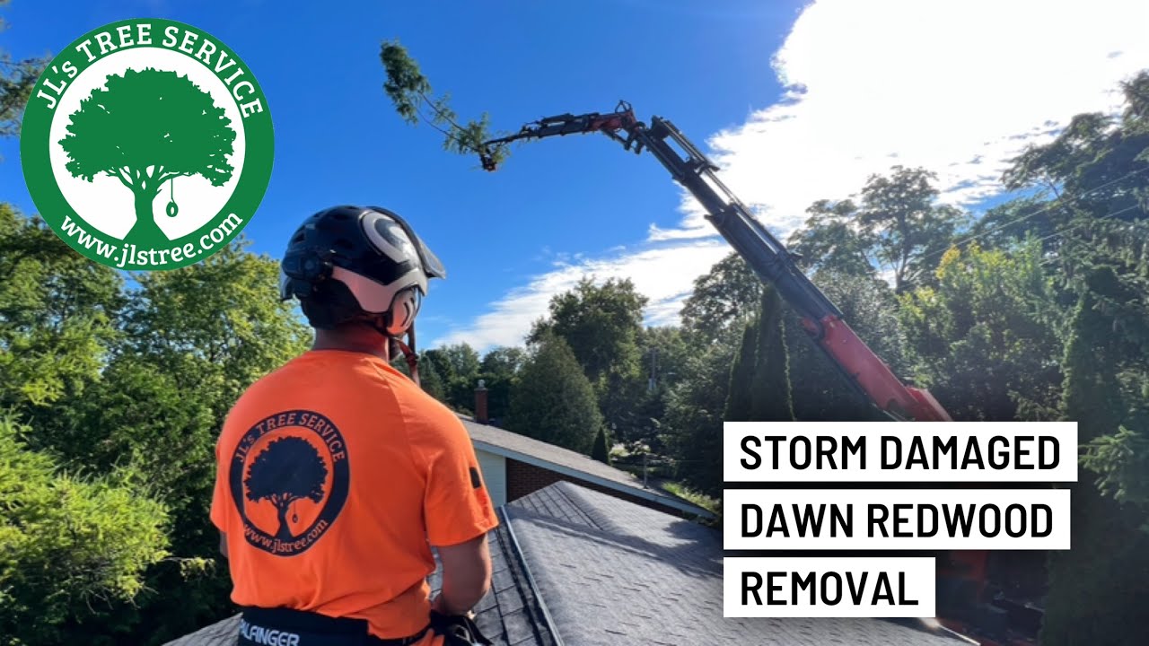 Remote Control Tree Removal with the Xcalibur - TREEBOSS Truck!! - YouTube