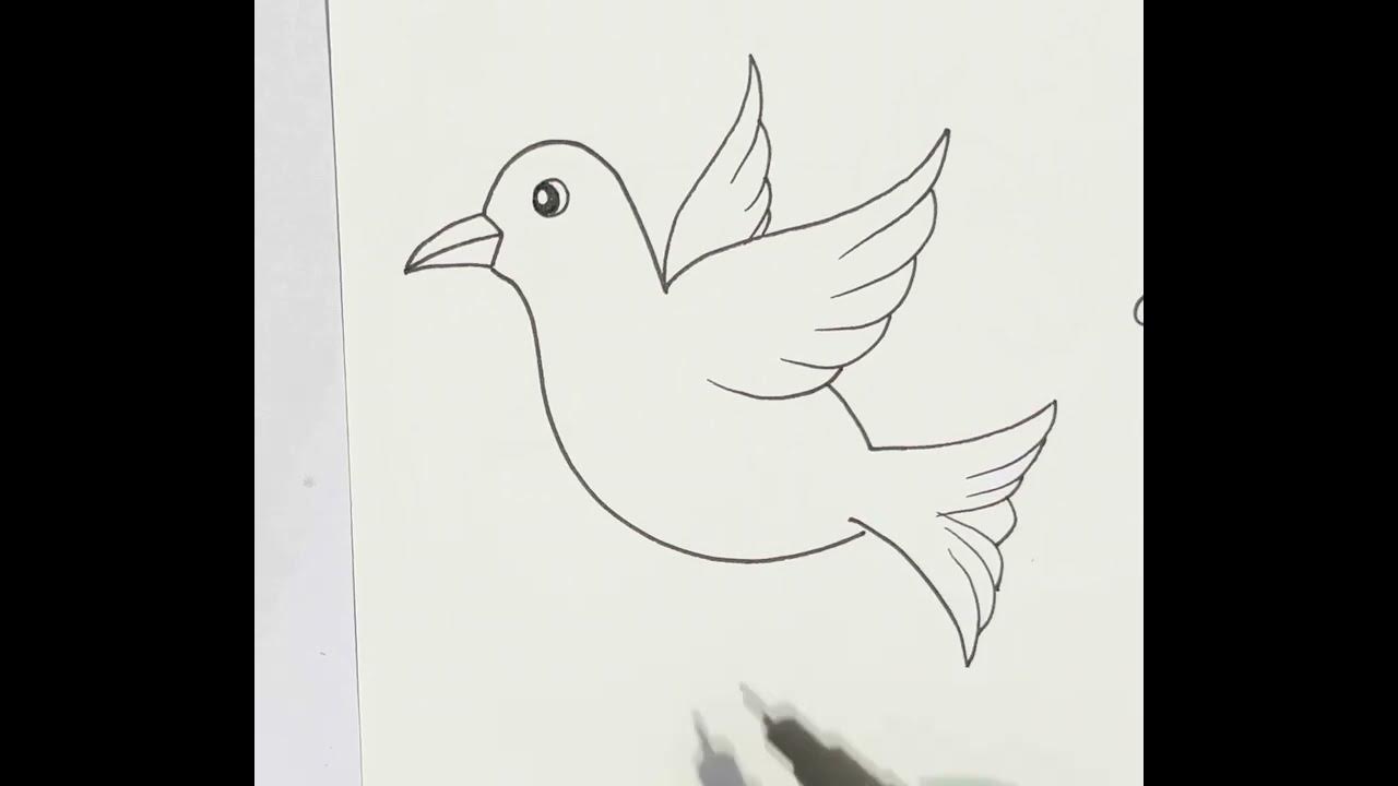How to draw bird easy step by step || easy drawing tutorial for ...