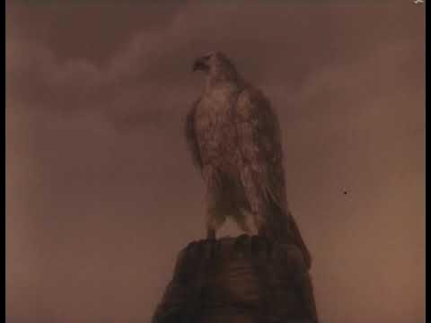 Culhwch and Olwen (The Quest for Olwen) / В поисках Олувен - YouTube