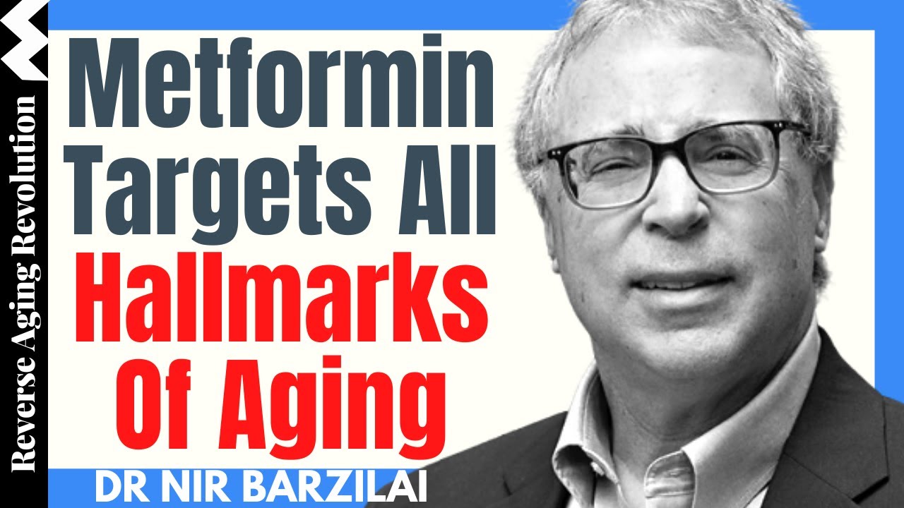 METFORMIN Targets ALL Hallmarks Of AGING | Dr Nir Barzilai Interview Clips - YouTube