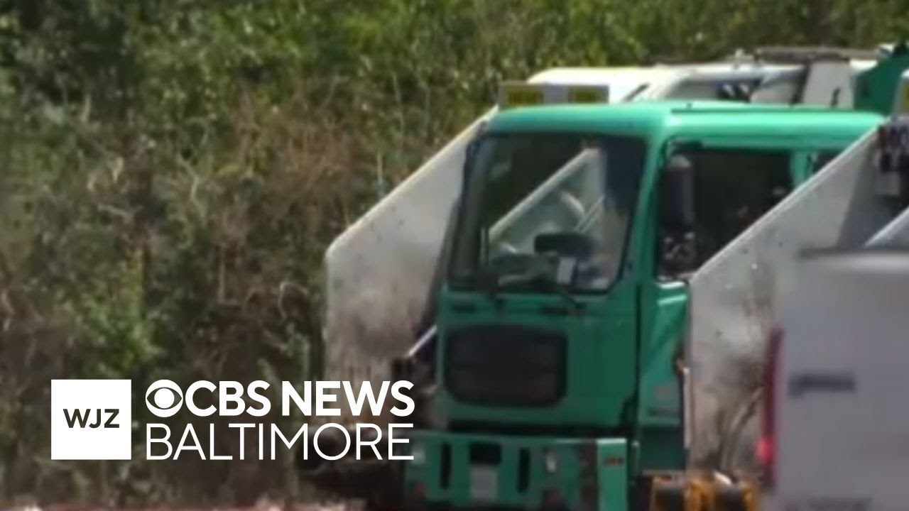 Baltimore's DPW is making "visible progress" for heat protection ...