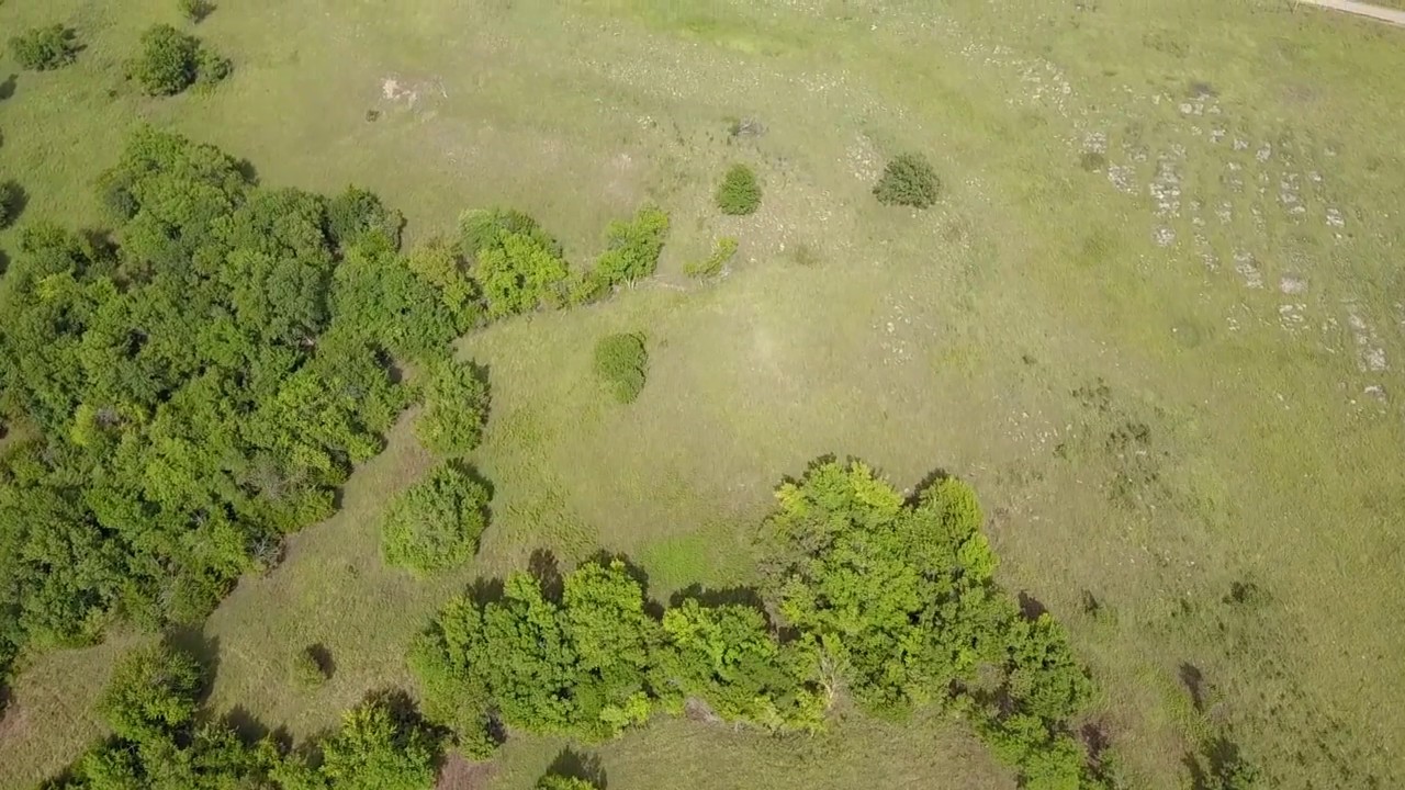 Red Buffalo Ranch West, Sedan, KS: video 1 - YouTube
