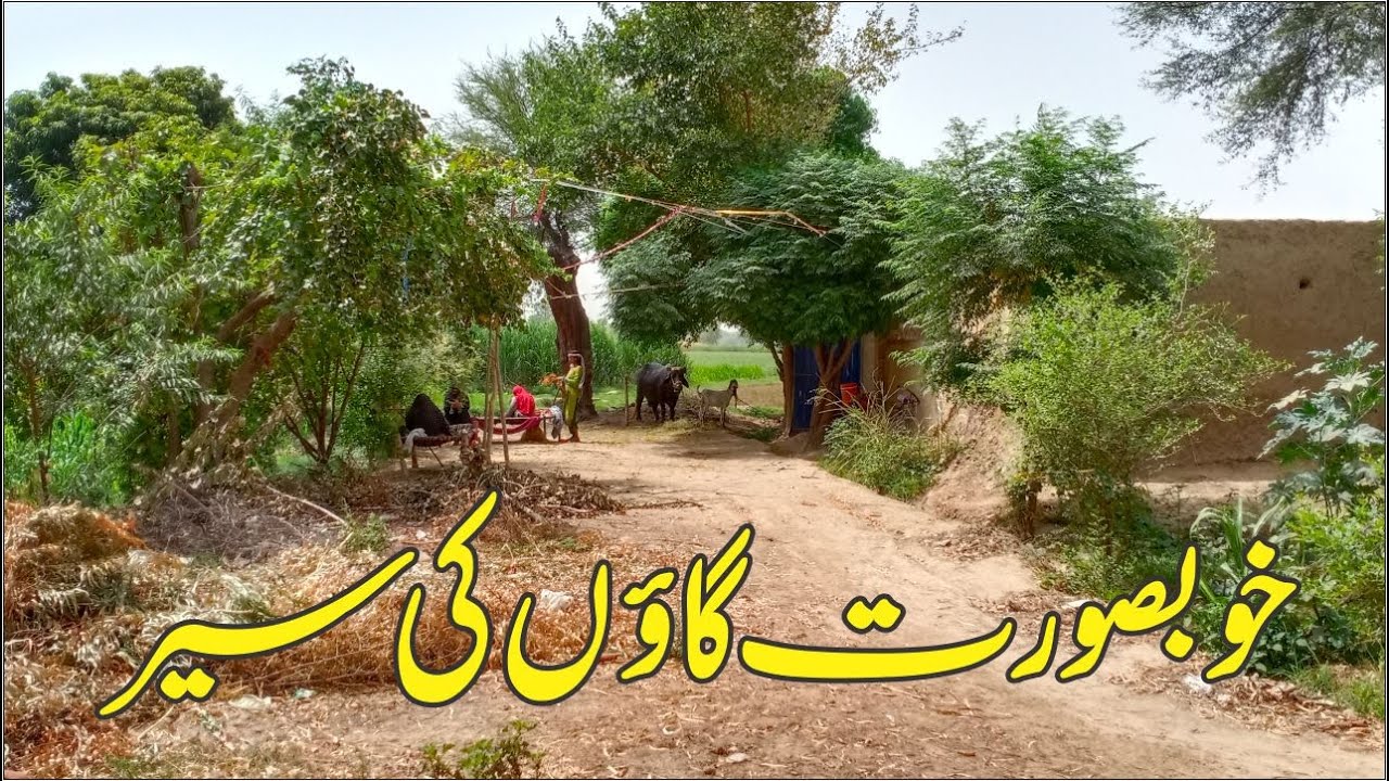 Khubsurat gaon ki sair |Village Life natural scenes | Pakistani rural ...
