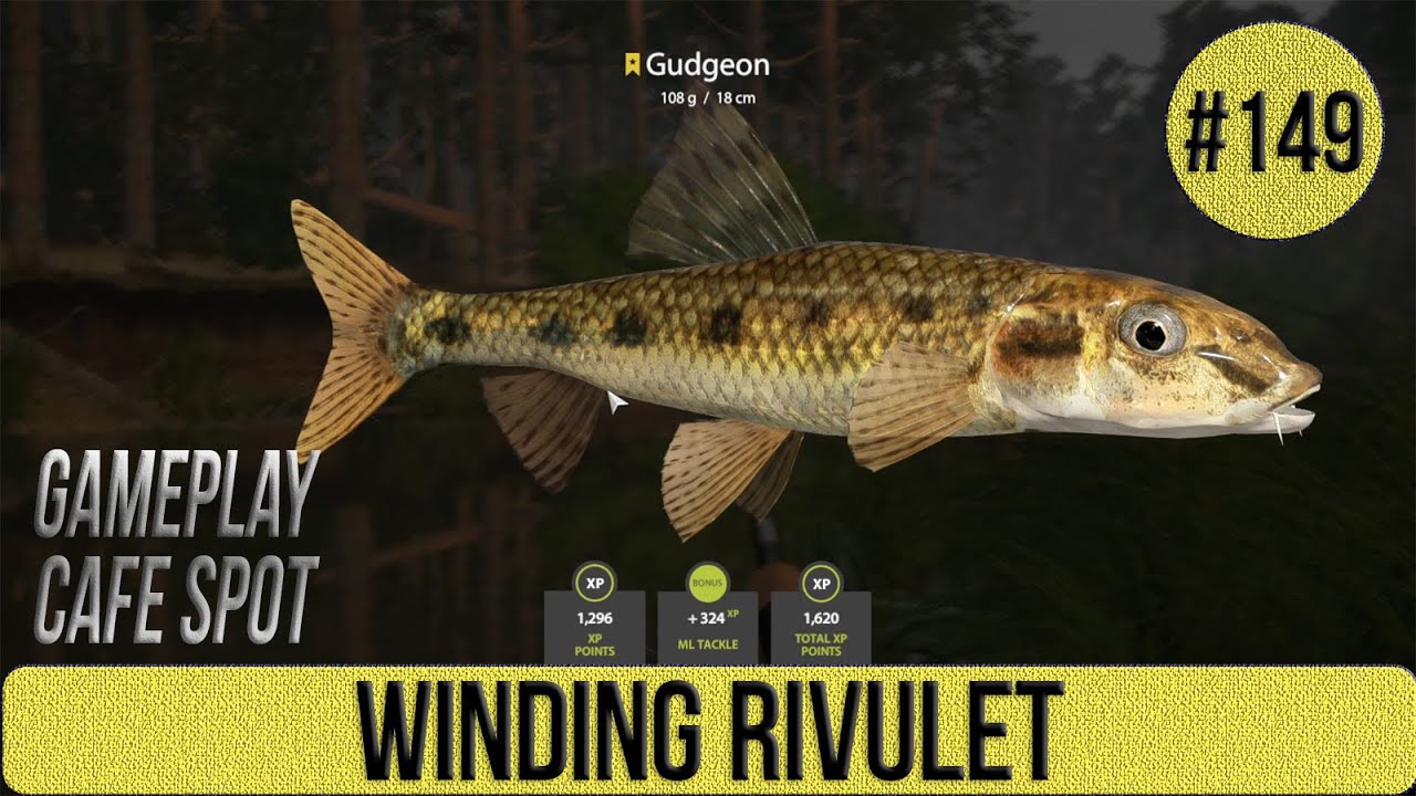 Russian Fishing 4 - Winding Rivulet - Gameplay Cafe Spot - #149 - YouTube