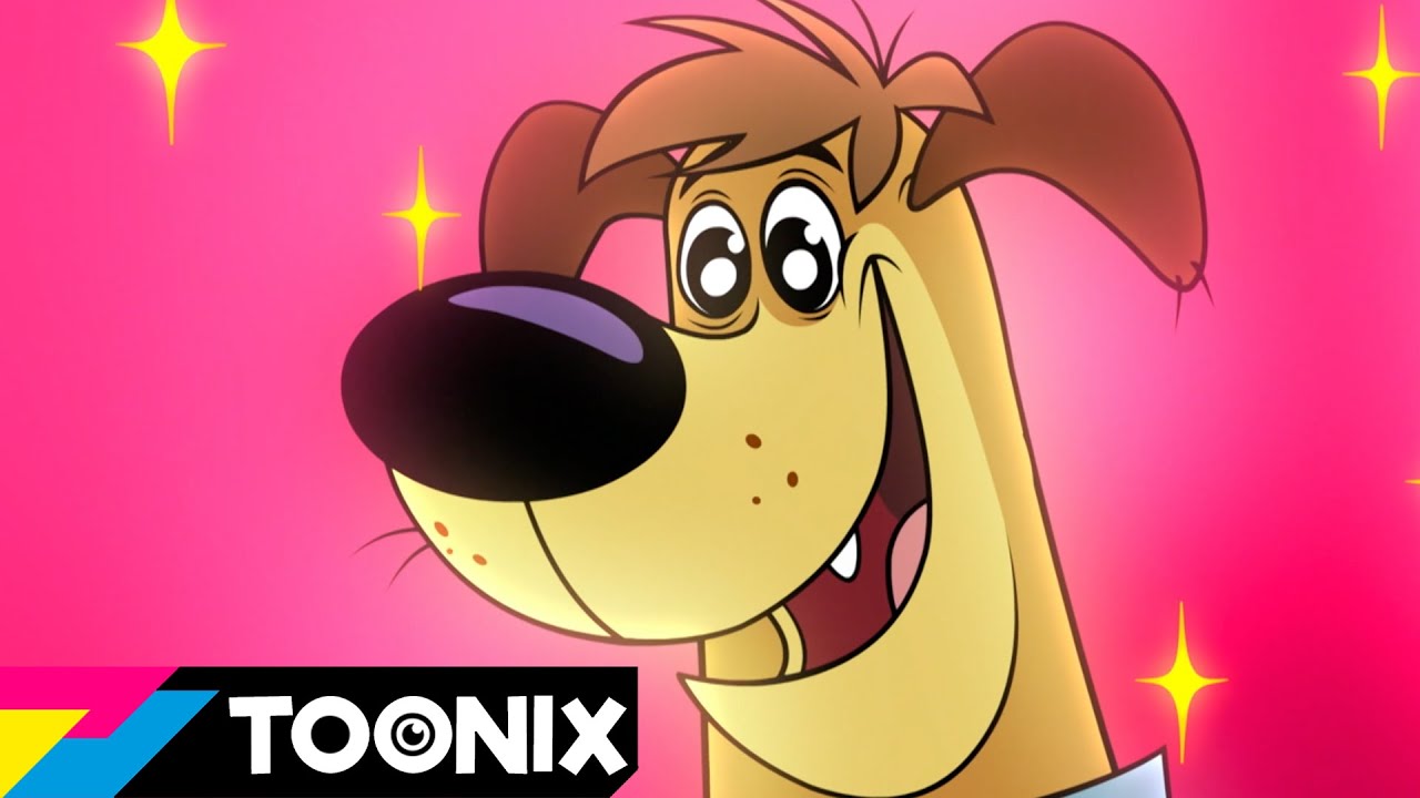 Bunnicula | Det spøger i hundehuset | Toonix Danmark 🇩🇰 - YouTube