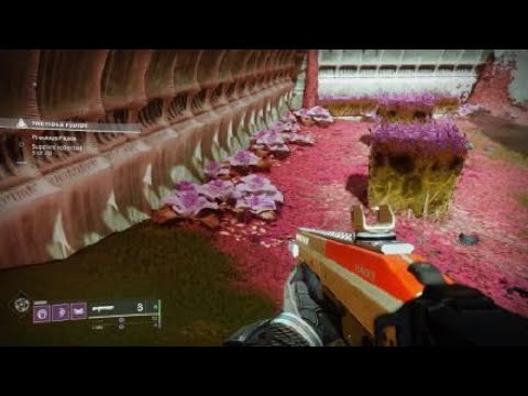 Destiny 2 hive lightbearer acolyte guardian - YouTube