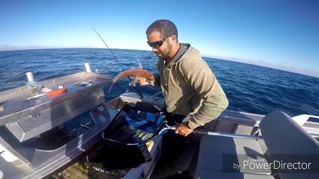 Deep dropping off cape moreton - YouTube