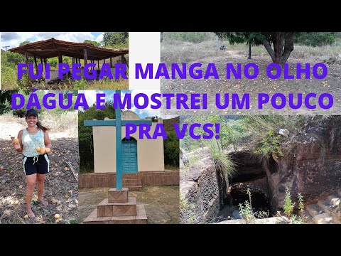 FUI PEGAR MANGA NO OLHO DÁGUA E MOSTREI UM POUCO PRA VCS!