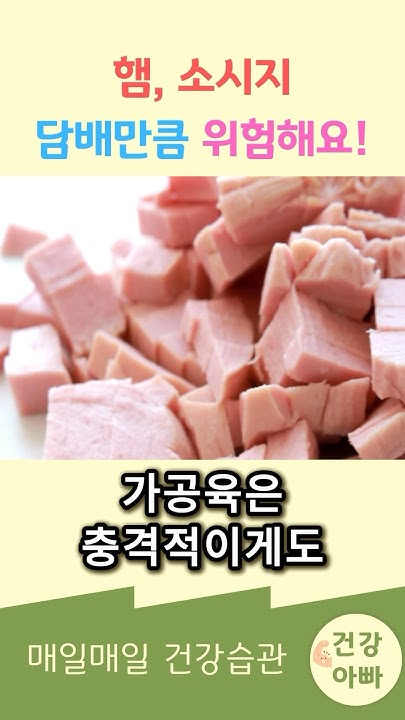 건강정보 햄 소시지 베이컨 암 가공육 건강식 Youtube