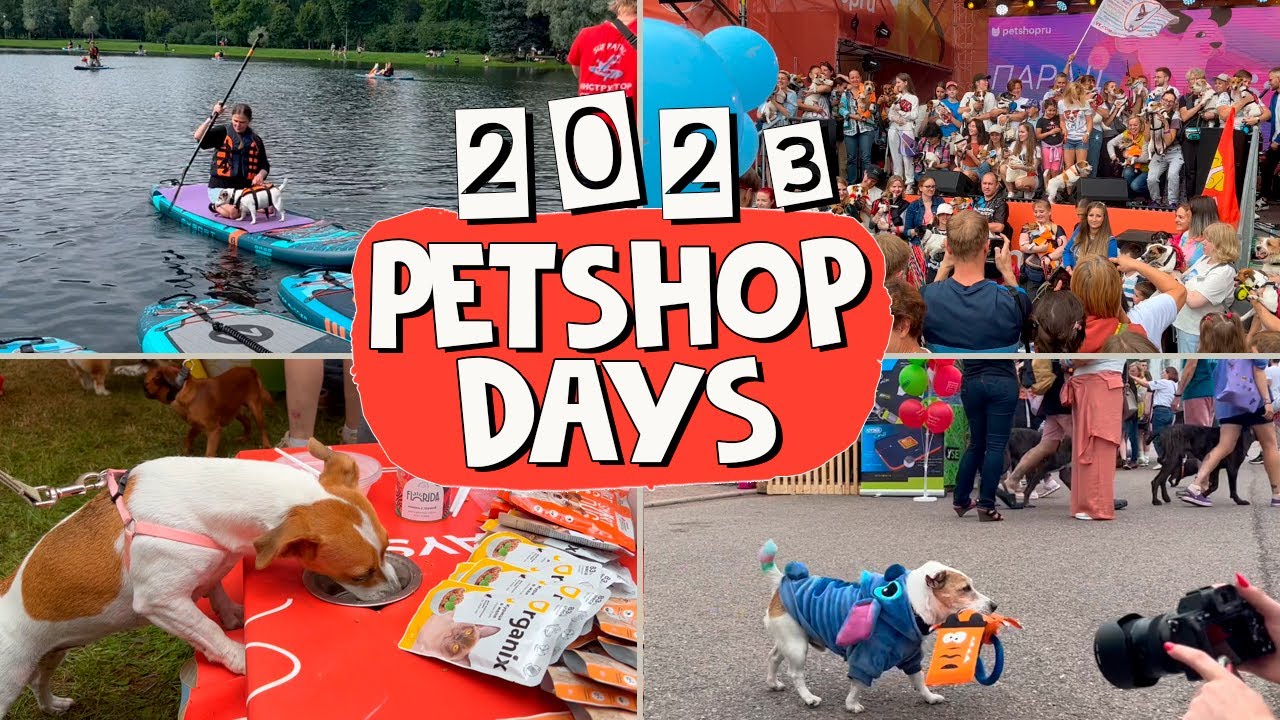 PetShop Days 2023. Собаки в восторге. Поплавали на сапах, посетили ...