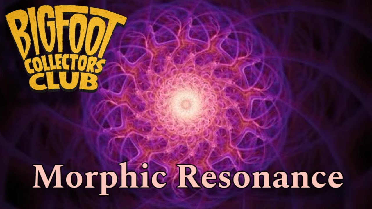 "Morphic Resonance" | BCC Episode 305 - YouTube