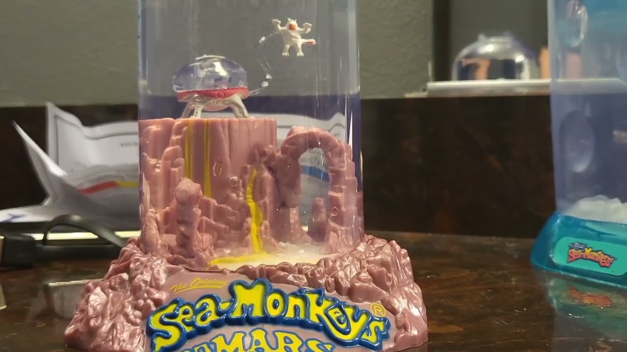 Sea Monkeys On Mars Unboxing - Getting Started Guide - Sea Monkey ...