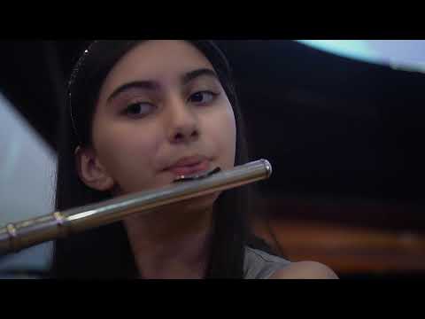 VƏTƏN BALLADASI#fleyta#Vetenballadasi#FaiqSuceddinov