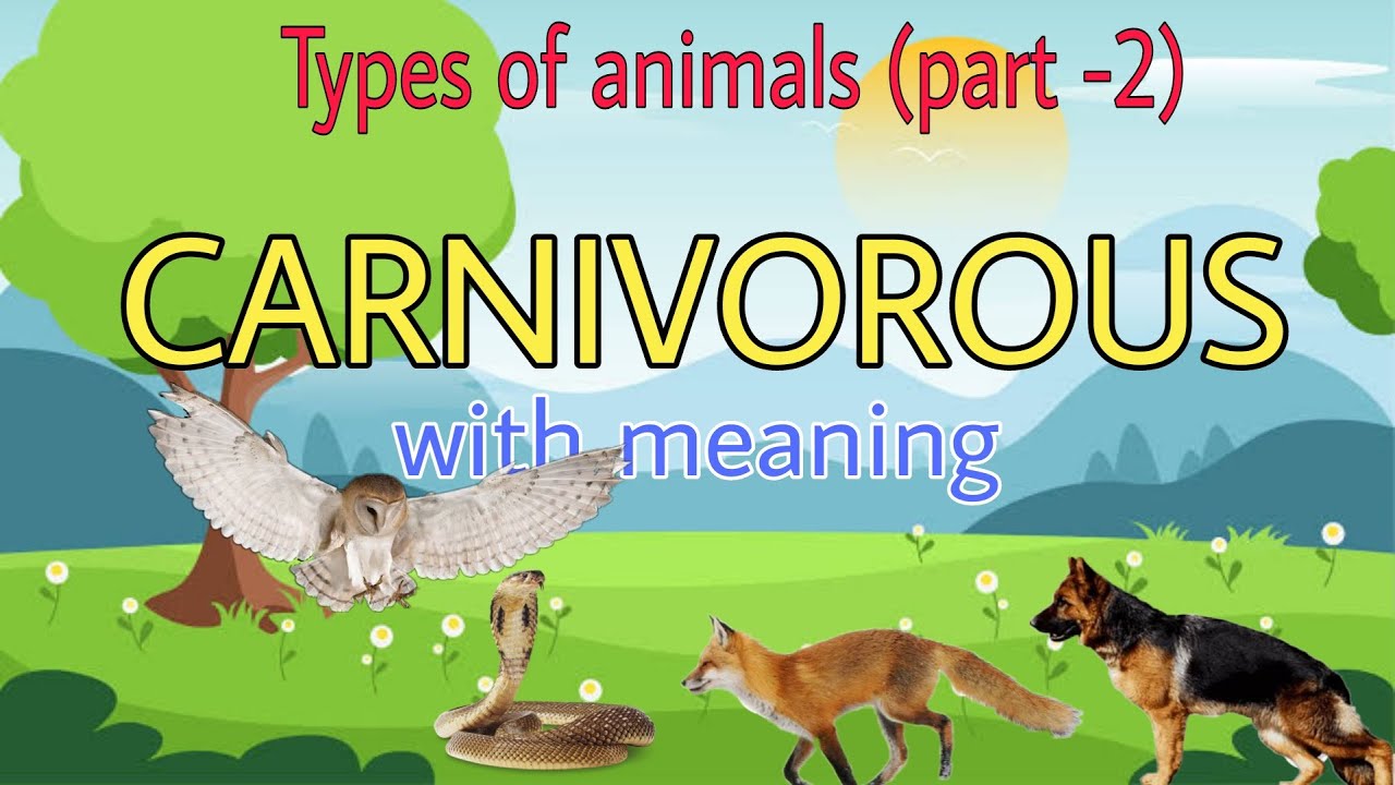 CARNIVOROUS animals name for kids - YouTube