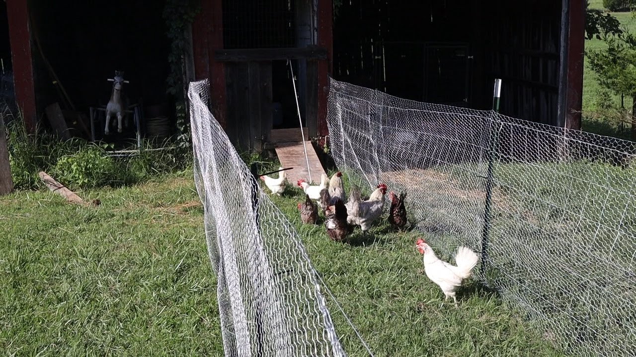 Building a Chicken Drawbridge - YouTube