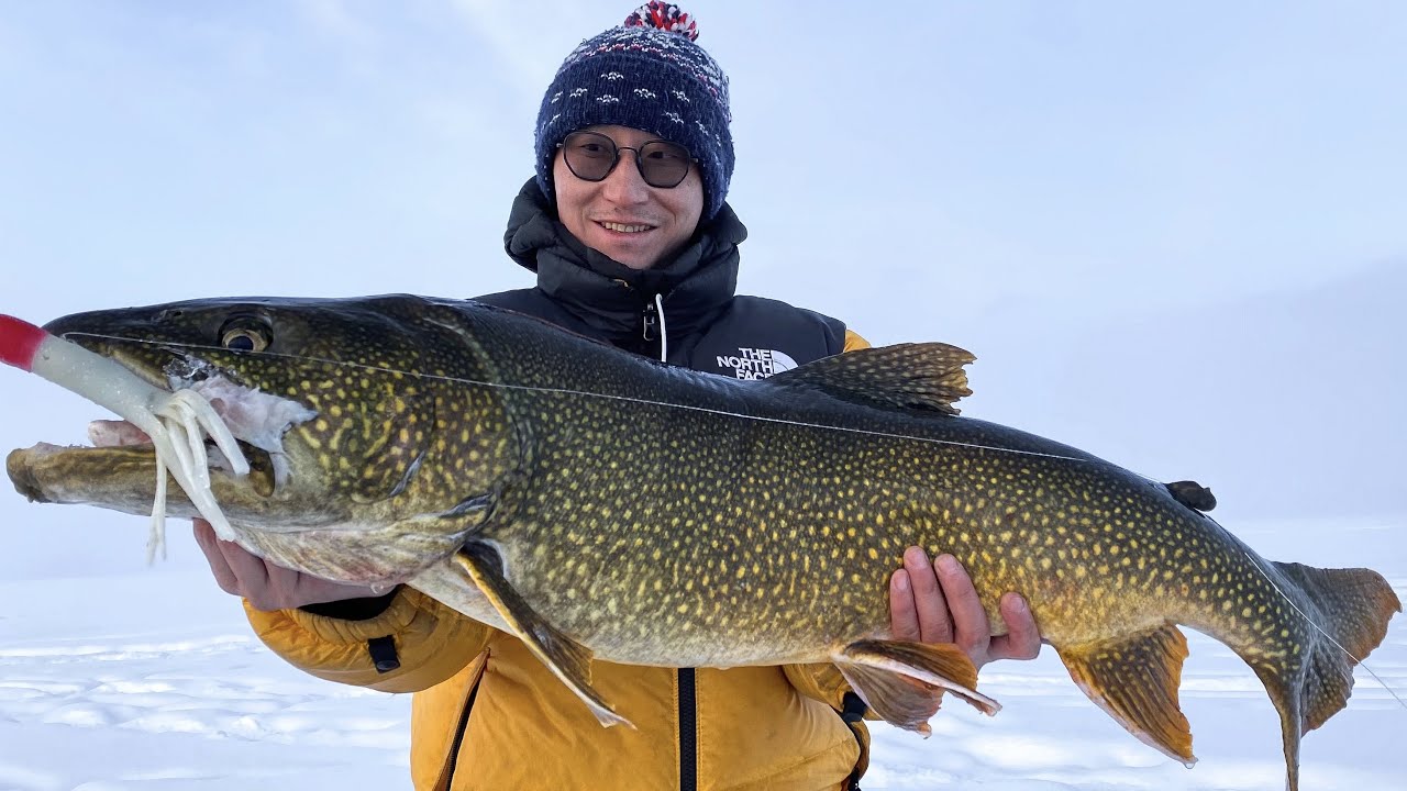Ice Fishing Alaska | Trophy Lake Trout - YouTube