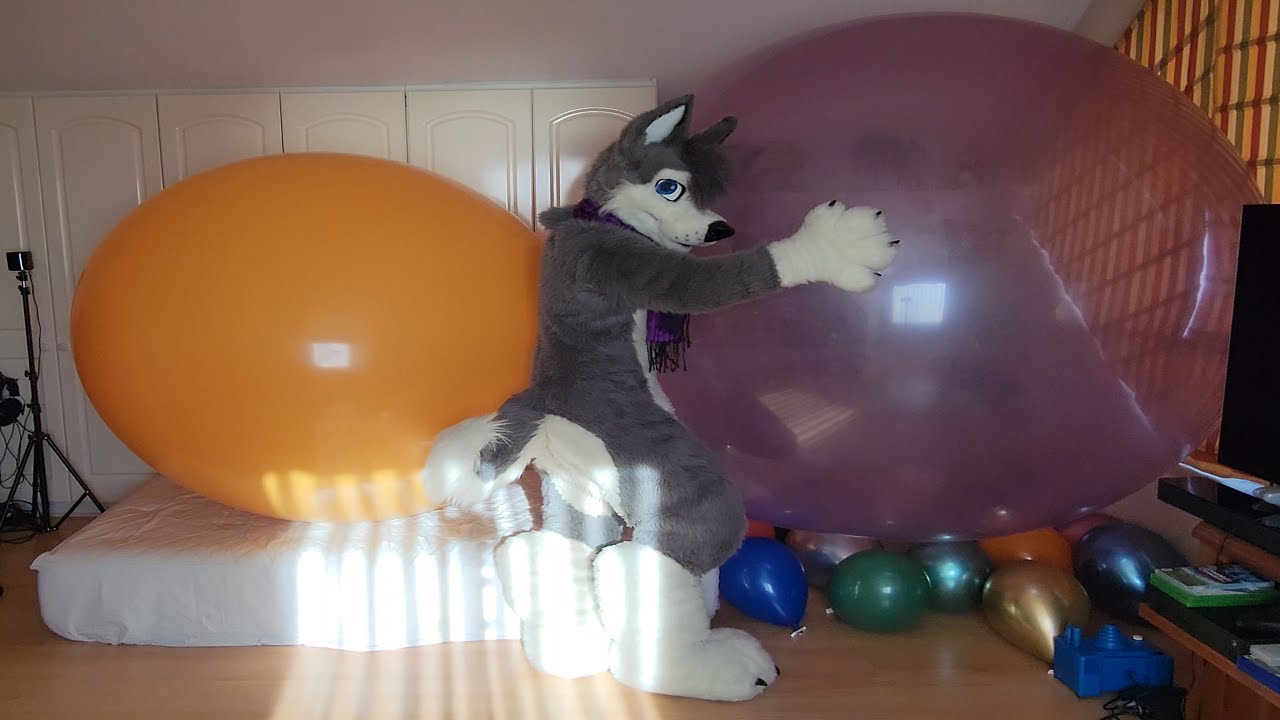Playing and deflating Cattex 55'' and 70'' balloons (Non pop) - YouTube