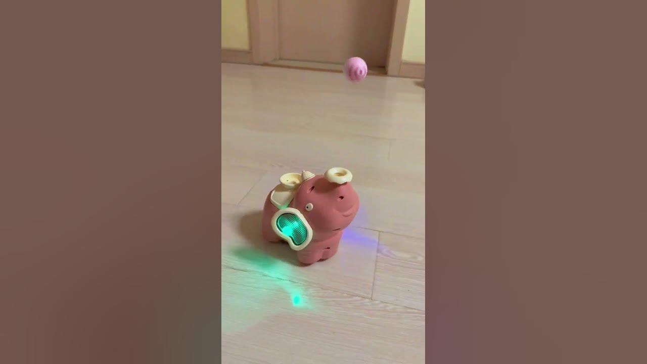 小侄子的新玩具 Youtube