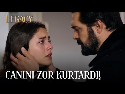 Seher Yaman’a sığındı! | Emanet 395. Bölüm