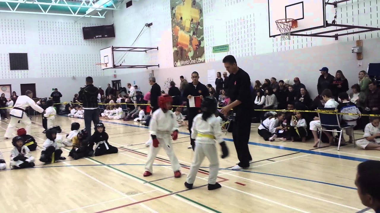 Nov 29 adi game for gold - YouTube