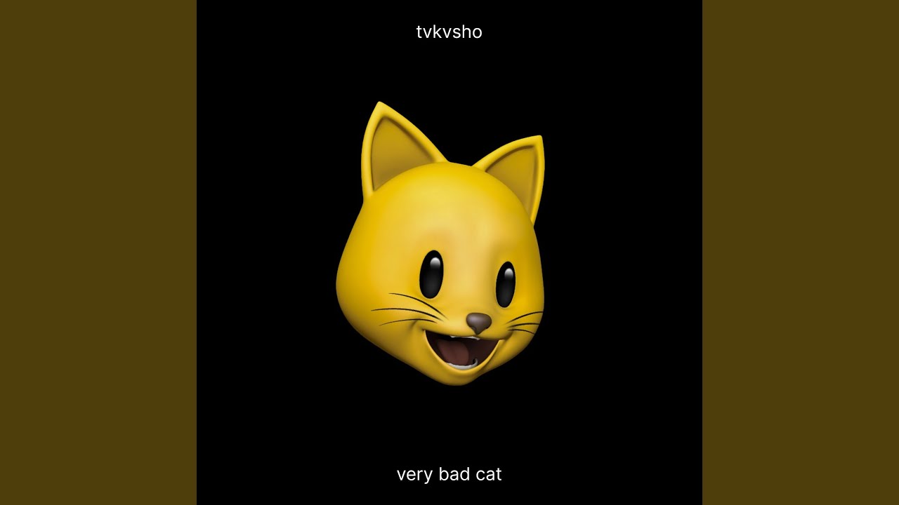 Very Bad Cat - YouTube