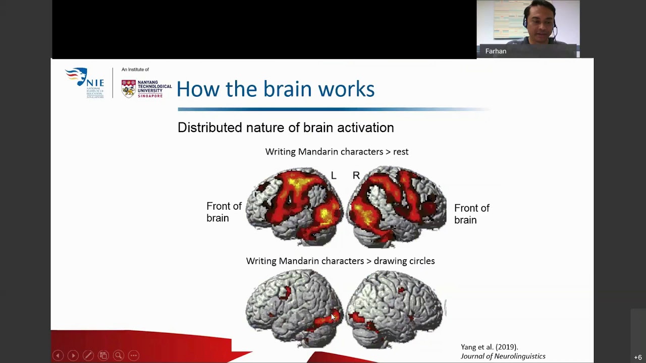 Cognitive Neuroscience Foundations: How the brain works in cognition ...