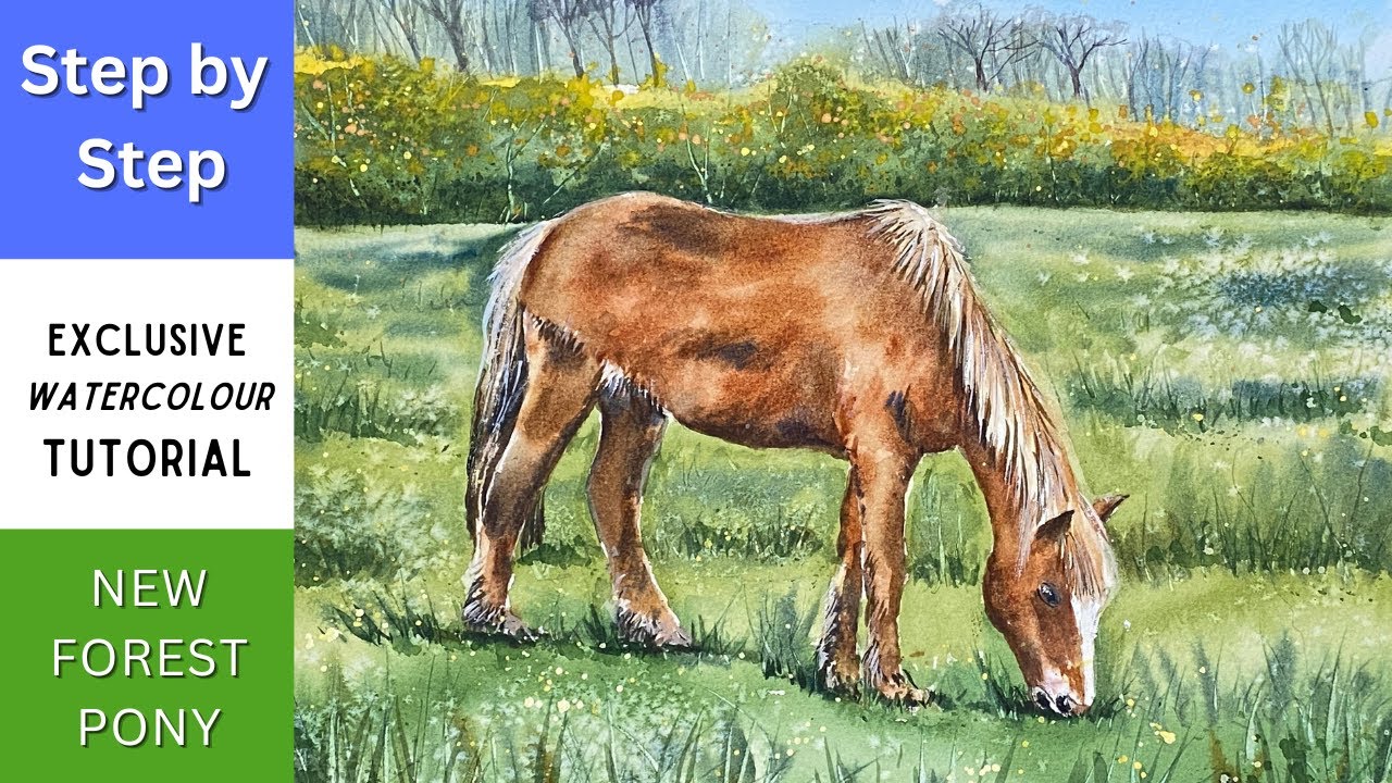 Exclusive Step by Step Pony Watercolour Tutorial - YouTube