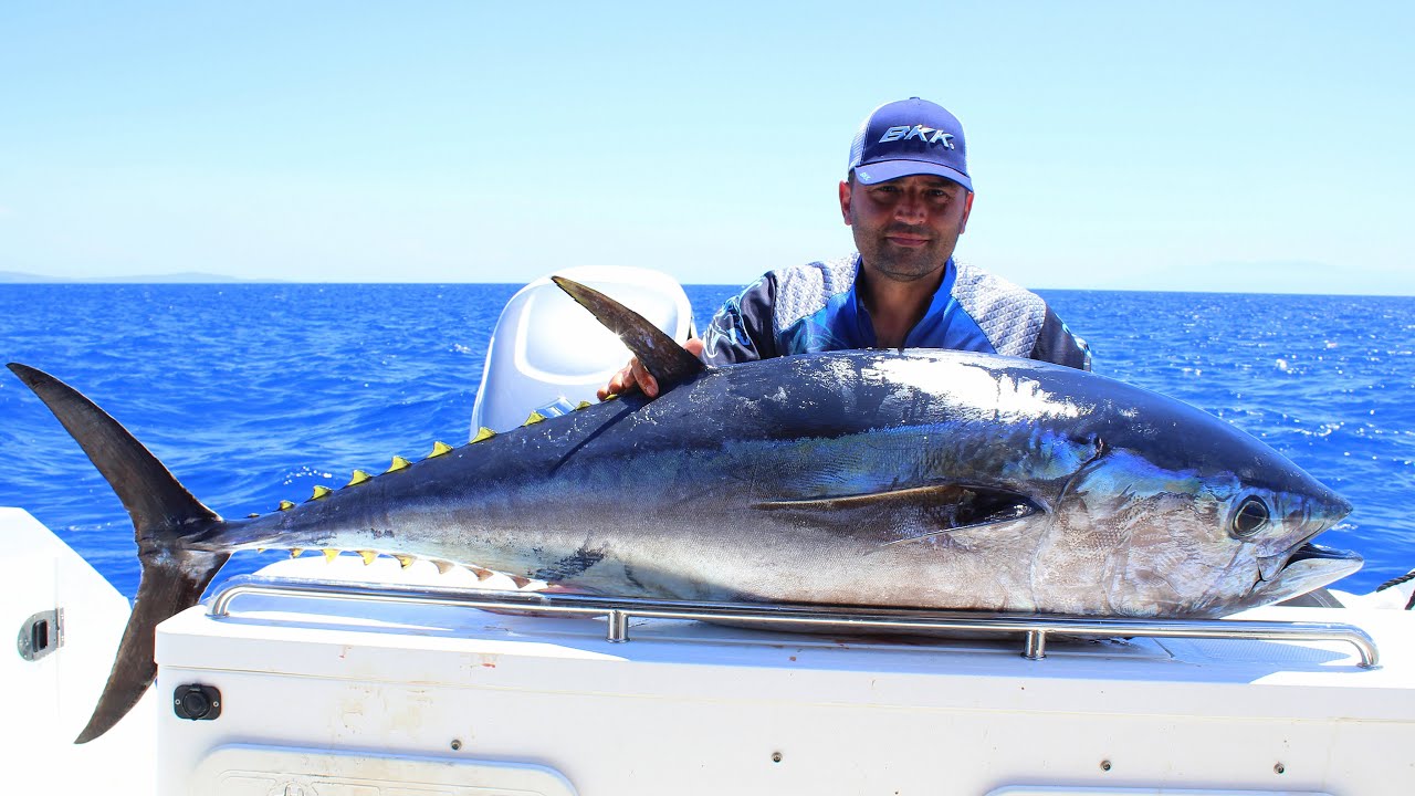 Efsane Orkinos Macerası / ALAMATRA FARKIYLA - YouTube