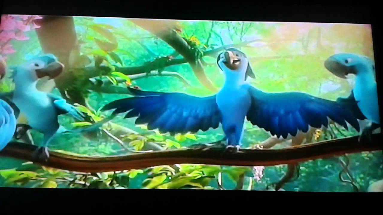 Rio 2 meet mimi and Roberto - YouTube