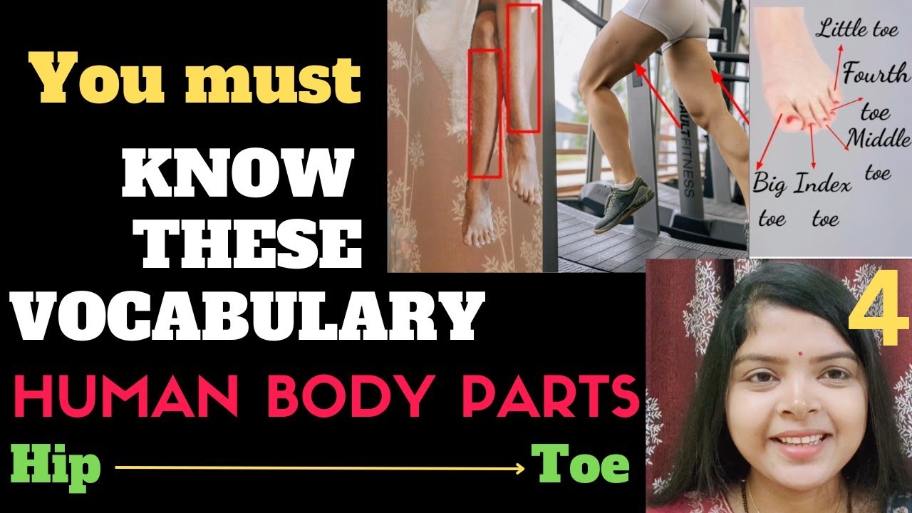 You must know these vocabulary || Leg vocabulary || Vocabulary from hip ...