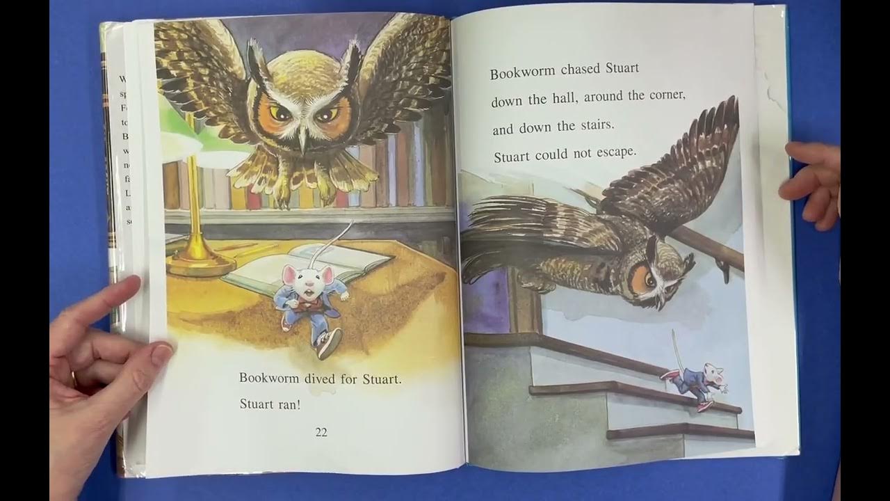 Stuart Little: Stuart at the Library read aloud book - YouTube