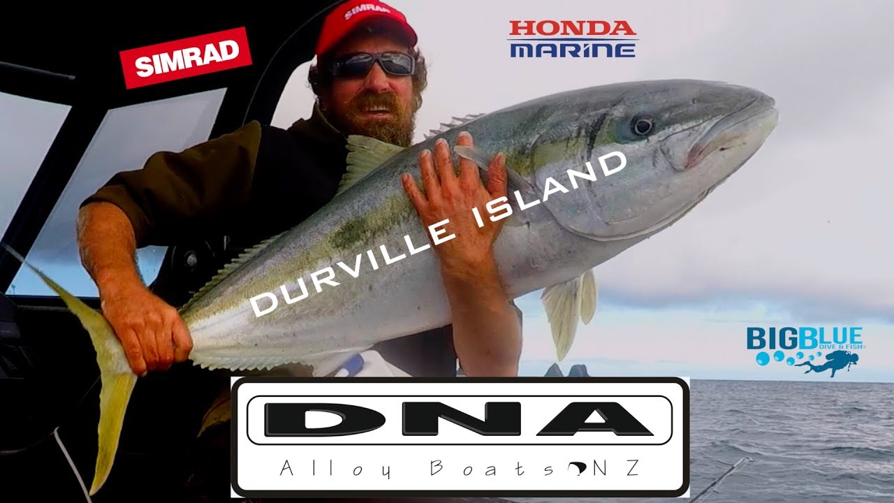 Fish Catch and Cook New Zealand with Josh James - YouTube