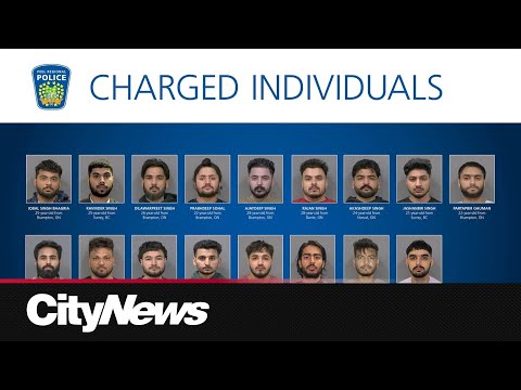Violent extortion ring dismantled in peel region