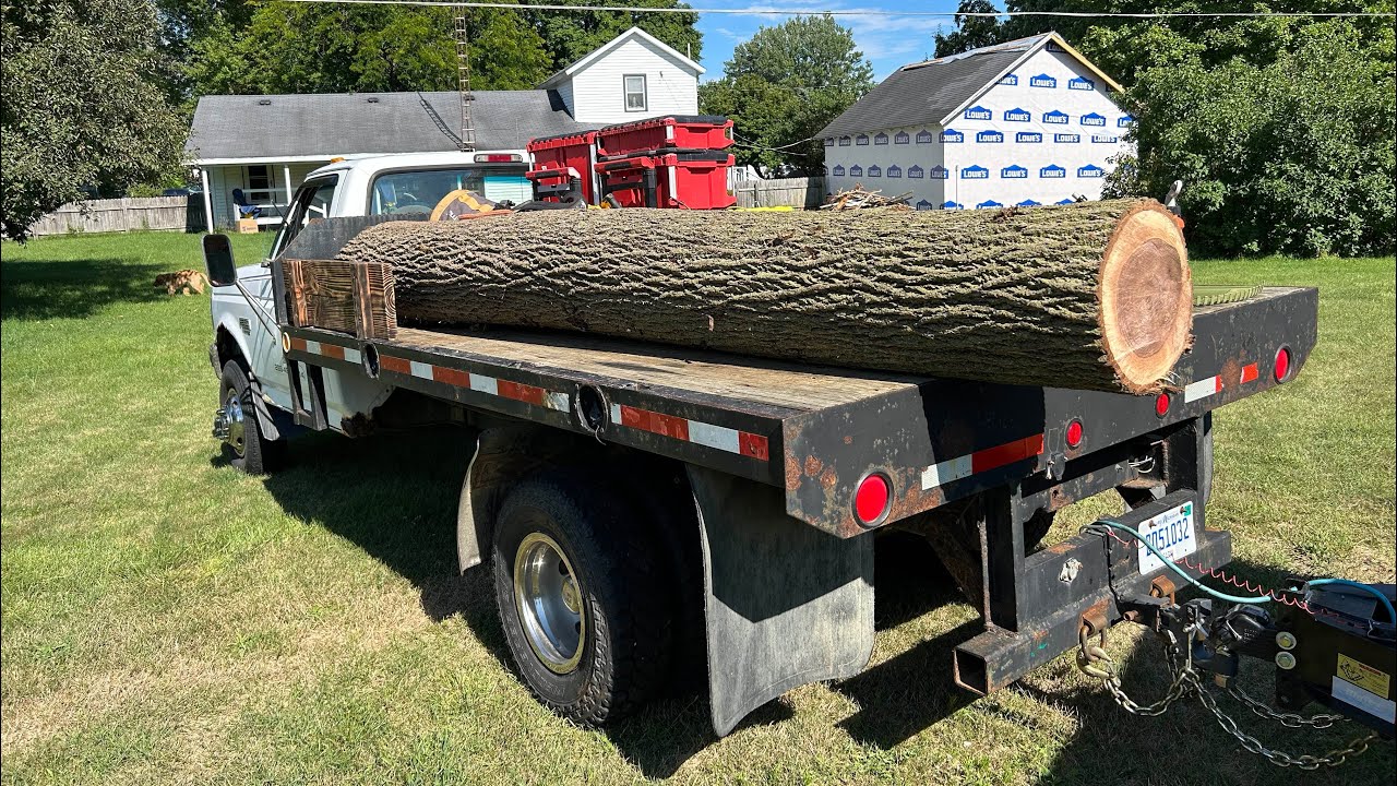 Tree-Cap Recap Blog Collage - YouTube