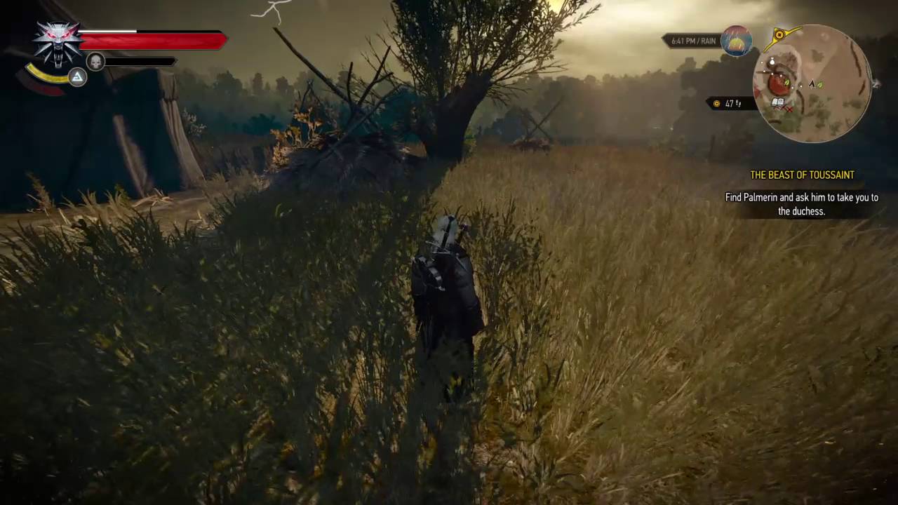 The Witcher 3: Wild Hunt Fully Upgraded Aard + Mutation - YouTube