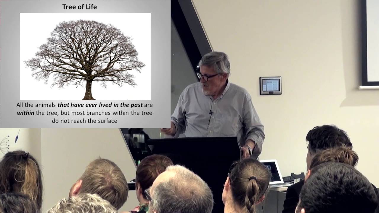 The Raymond Dart Lecture "Origins' with Professor Bernard Wood - 19 May ...