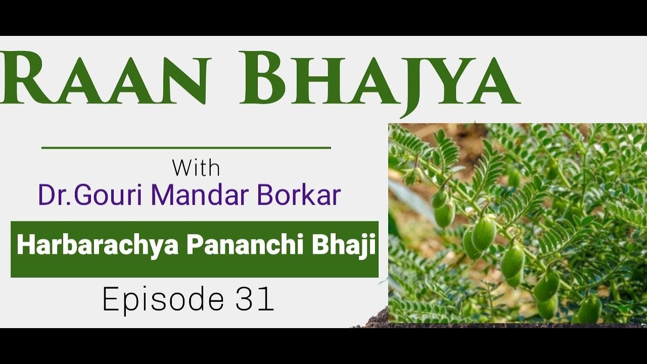 Harbarachya Pananchi Bhaji | Raan Bhajya | Episode 31 - YouTube