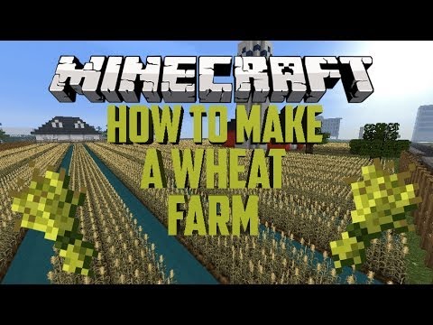 Minecraft: How To Make A Wheat Farm (Best Way) - YouTube