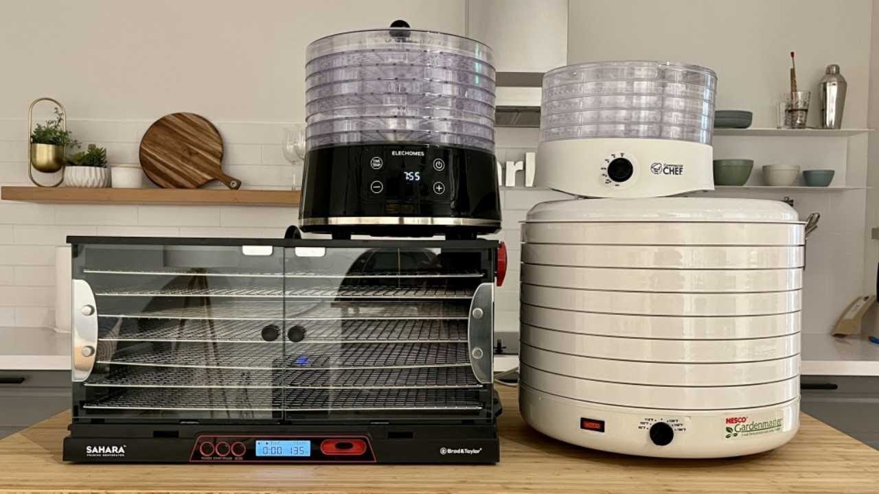 Top 5 Best food dehydrators 2024 - YouTube