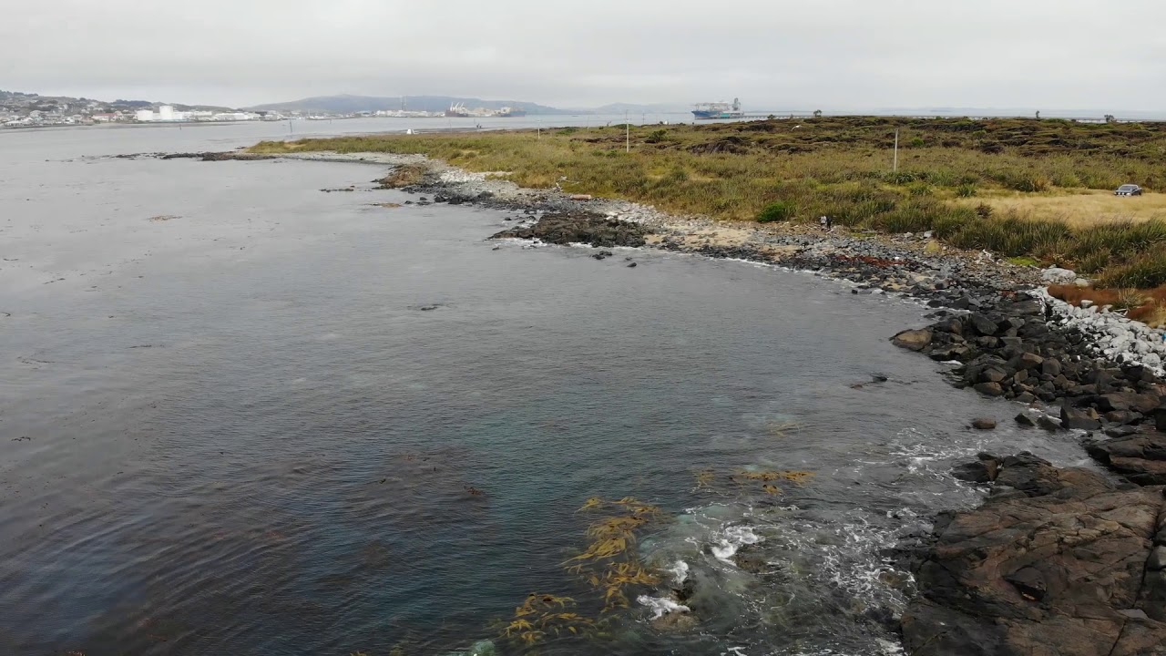 Tiwai Point - YouTube