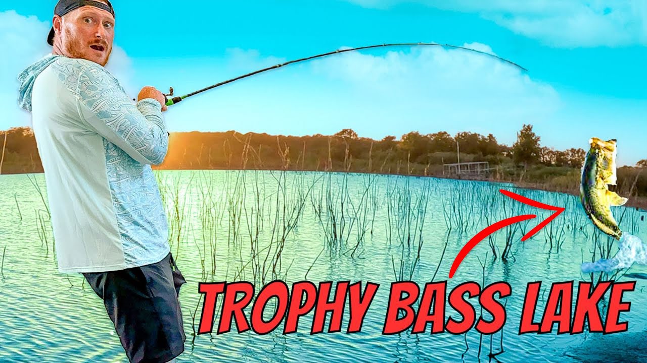 WADE Fishing at A Trophy Bass Lake! Also NEW BAIT Coming Soon! - YouTube