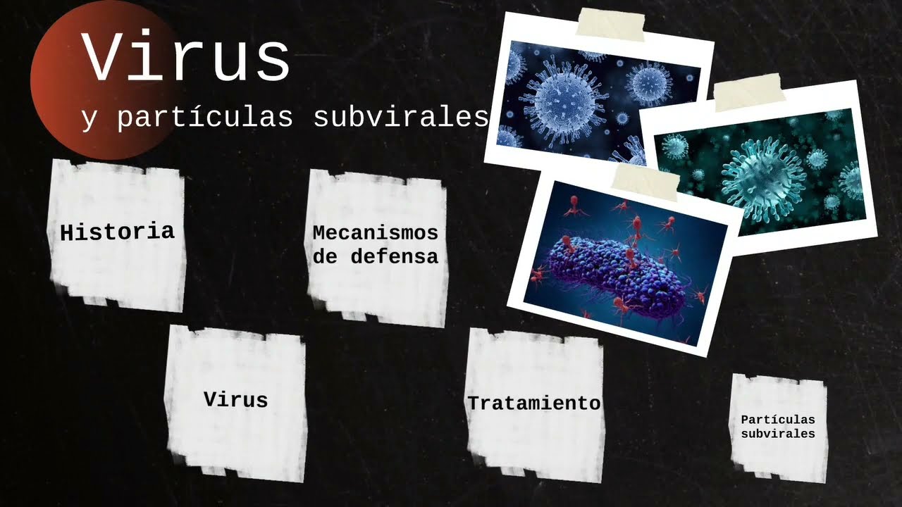 Virus, un poco de historia - YouTube