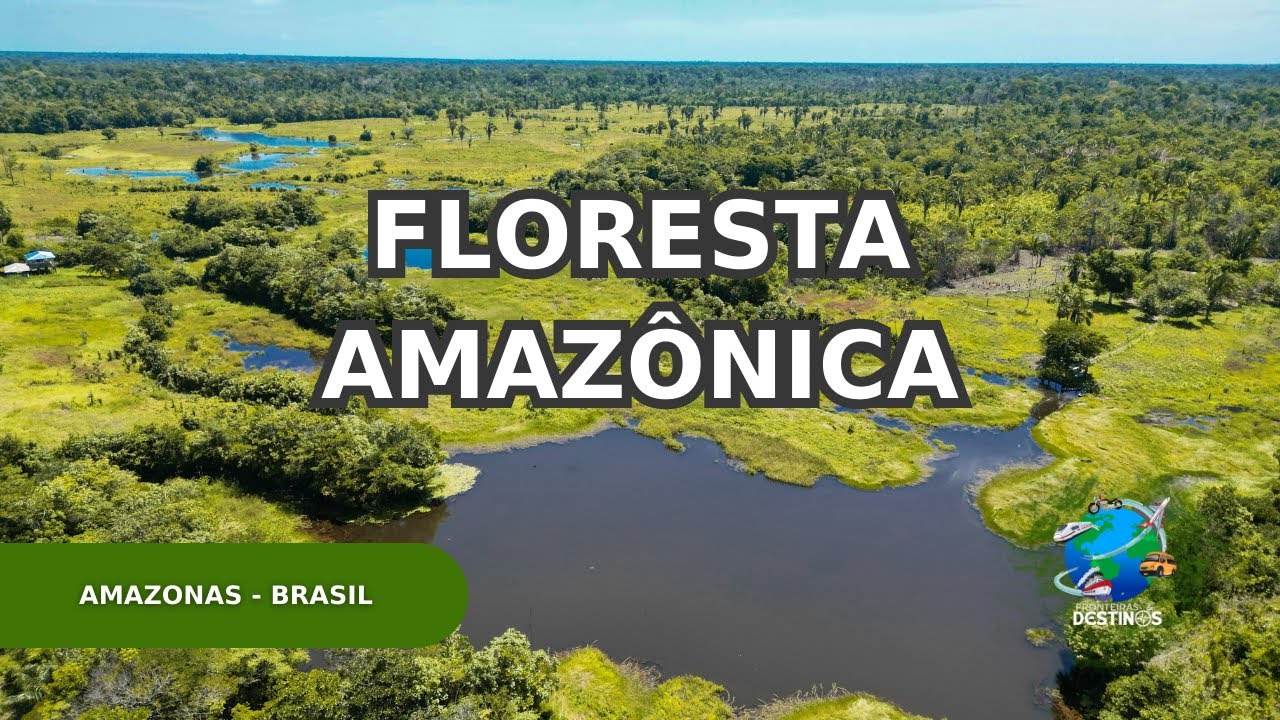 CONHEÇA A FLORESTA AMAZÔNICA - A MAIOR FLORESTA TROPICAL DO MUNDO ...
