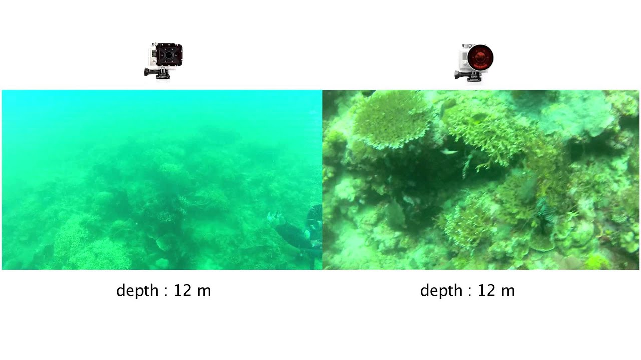 GoPro Dive Housing & Blurfix SRP +Red filter Test - YouTube