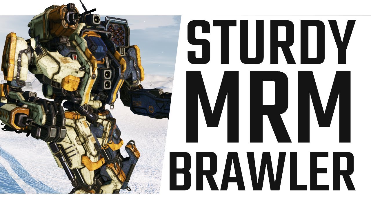 Sturdy MRM Brawler - Roughneck RGH-2A - Mechwarrior Online The Daily ...
